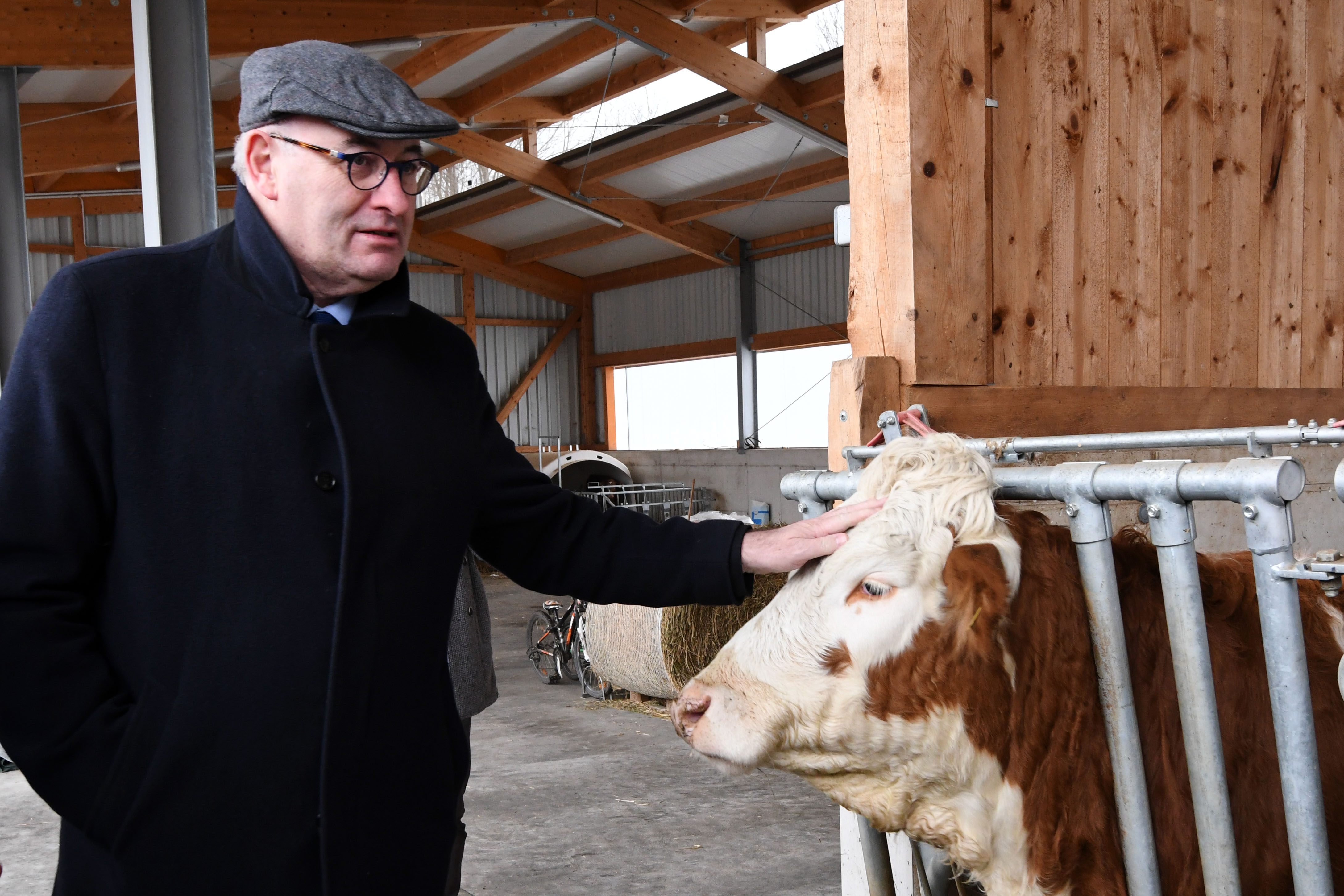 Study: EU spends 18-20% of budget on livestock farming