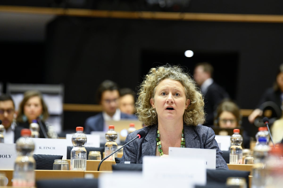 Orban allies divided in vote on Hungary sanctions probe