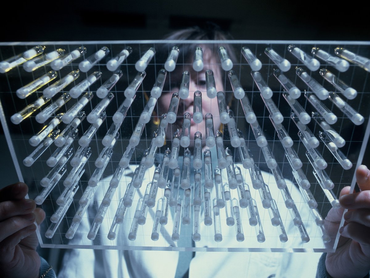 British MPs demand London court to counter EU patent costs