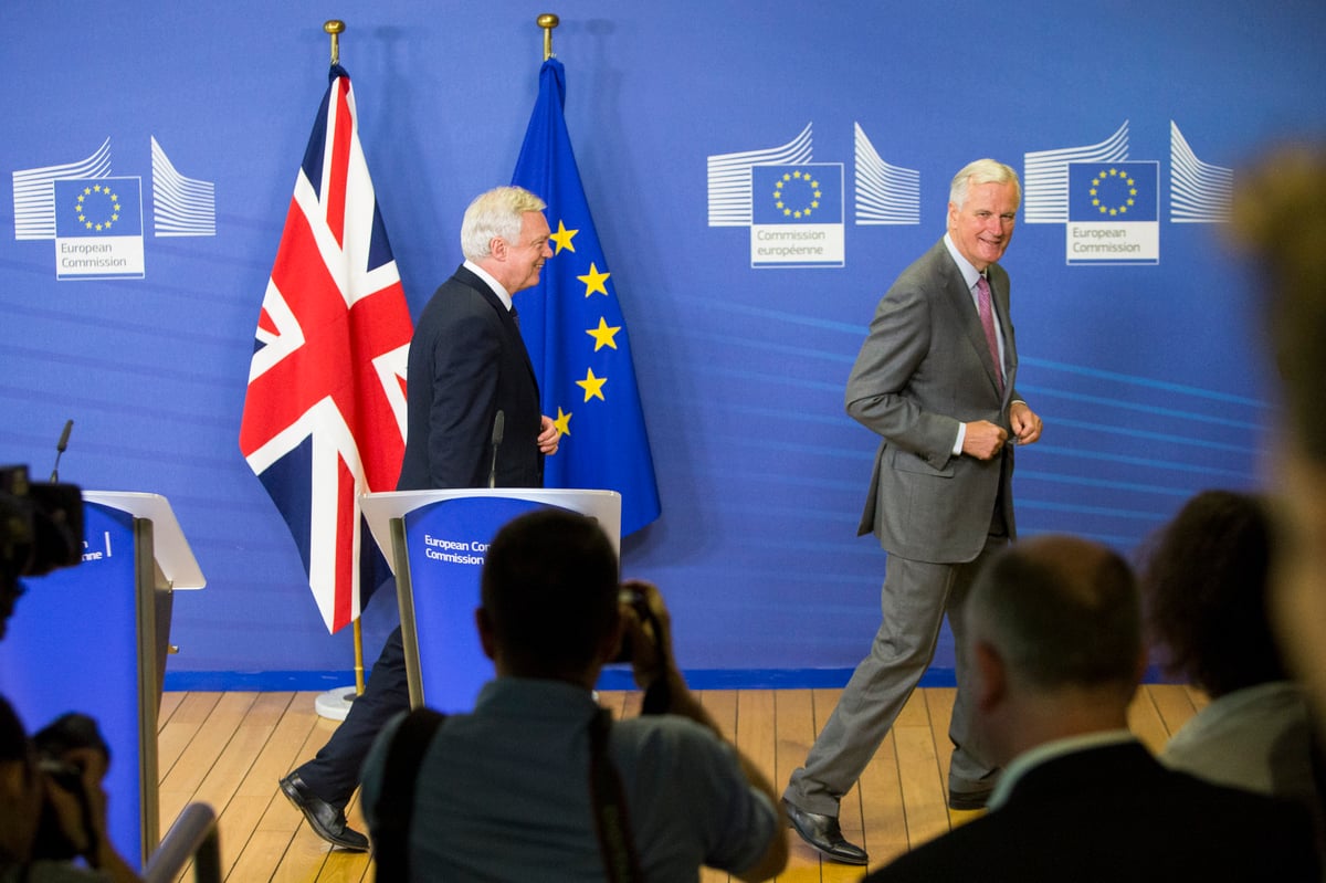 Mr Brexit leads mini anti-May rebellion