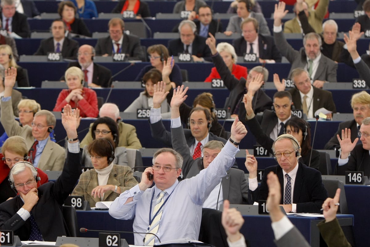 Declaration opens way for MEP vote on 2011 budget