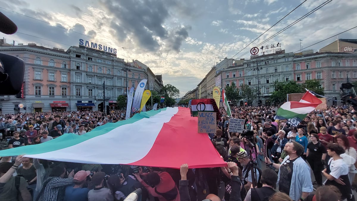 What's causing Hungary's 'revenge law' protests?