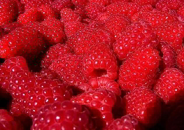 Denmark's word against Poland's in raspberry spat