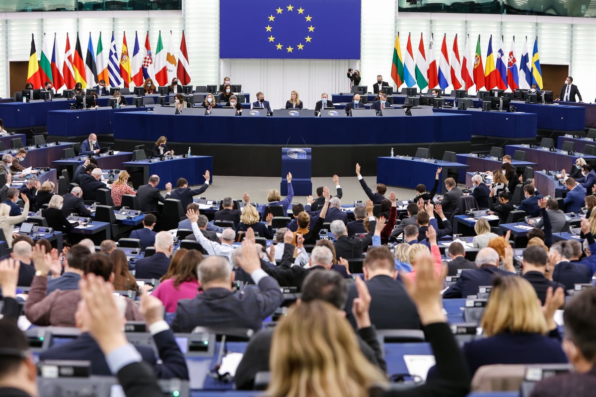 Some unusual candidates running to become MEPs in June