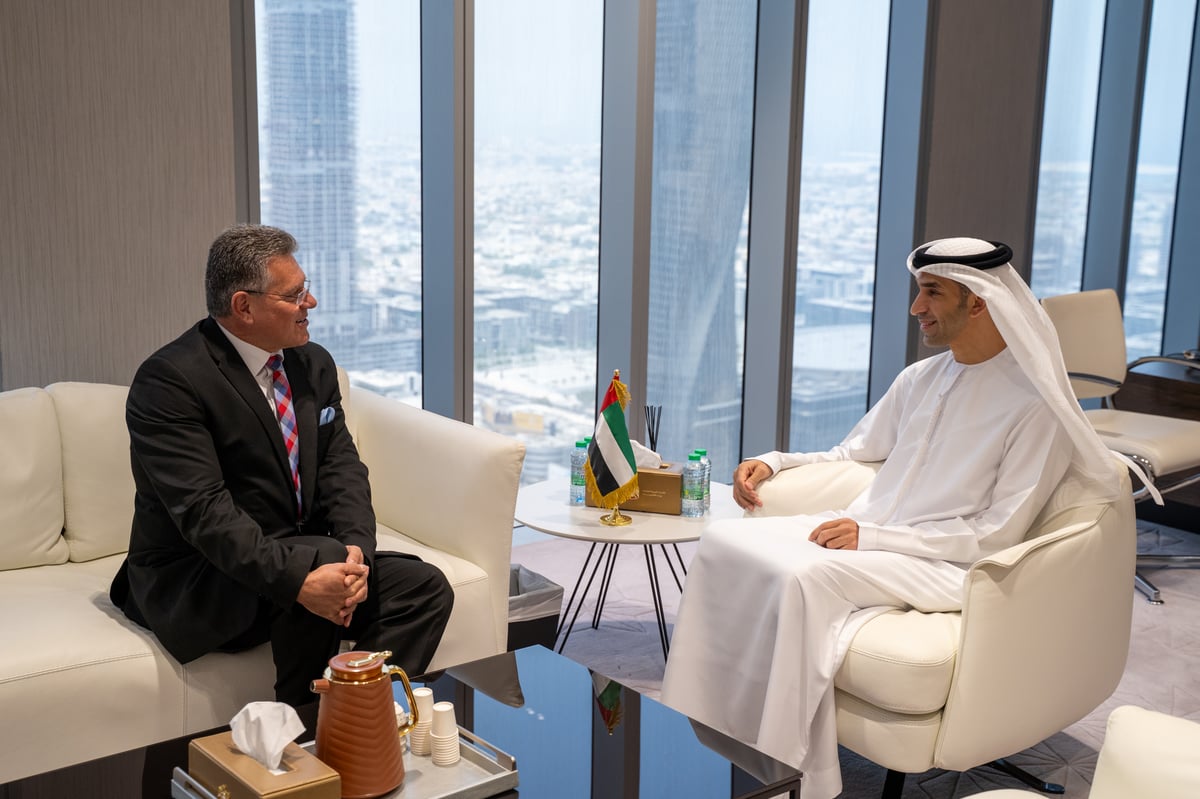 Emirati trade deal can be 'building block' for EU-Gulf pact